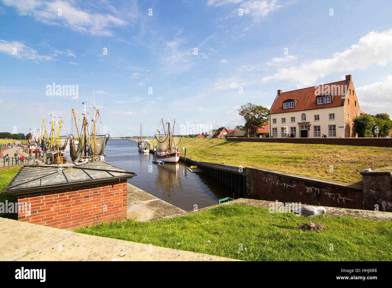 fish, water, north sea, salt water, sea, ocean, baltic sea, rust ...