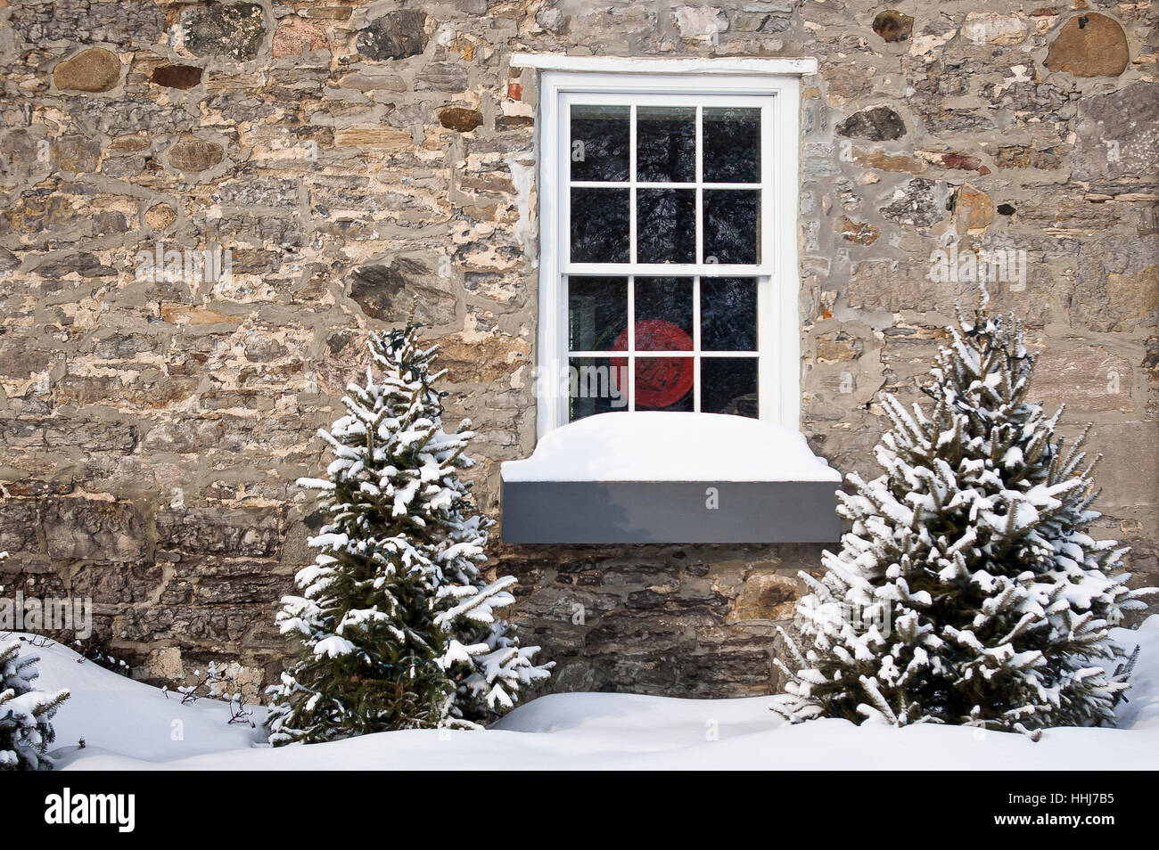 model, design, project, concept, plan, draft, tree, trees, stone ...