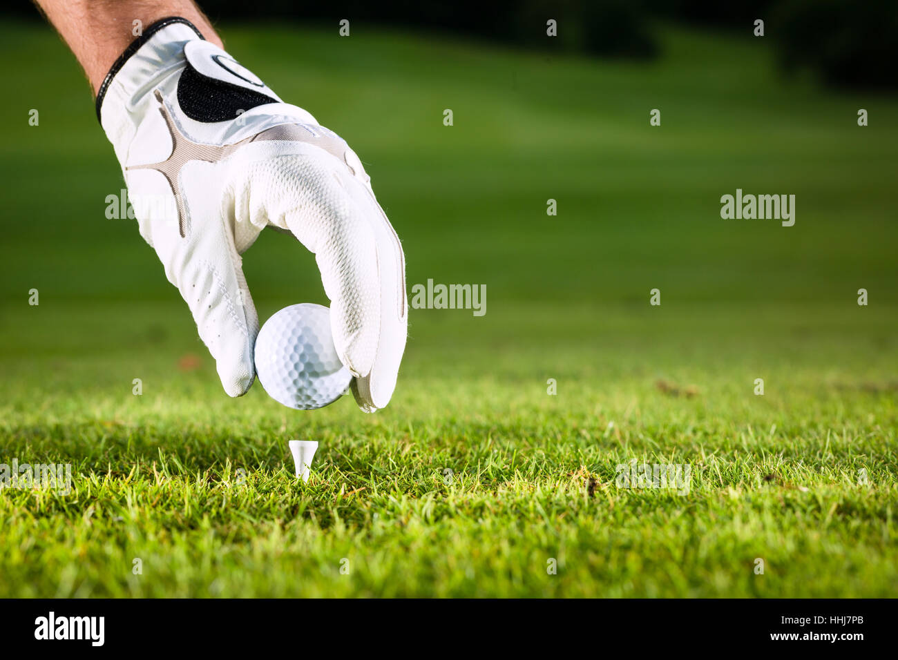 hand, tea, ball, glove, gulf, golf course, golf ball, humans, human ...