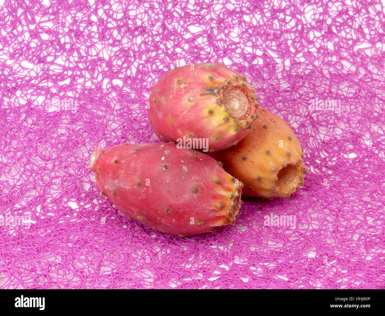 flower, rose, plant, cactus, fig, figs, flower, rose, plant, fruit ...