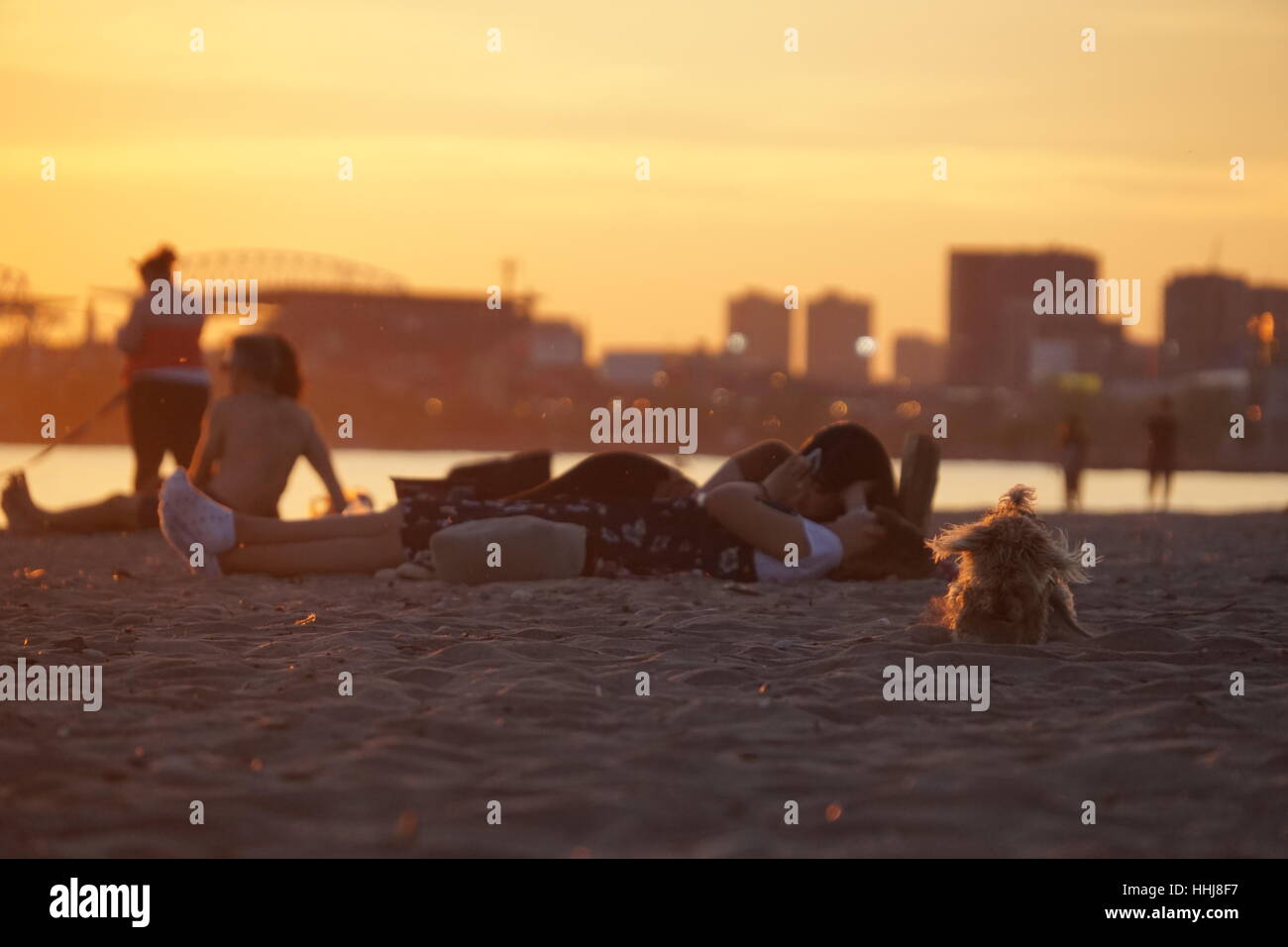 Can You Take Dogs To Toronto Island