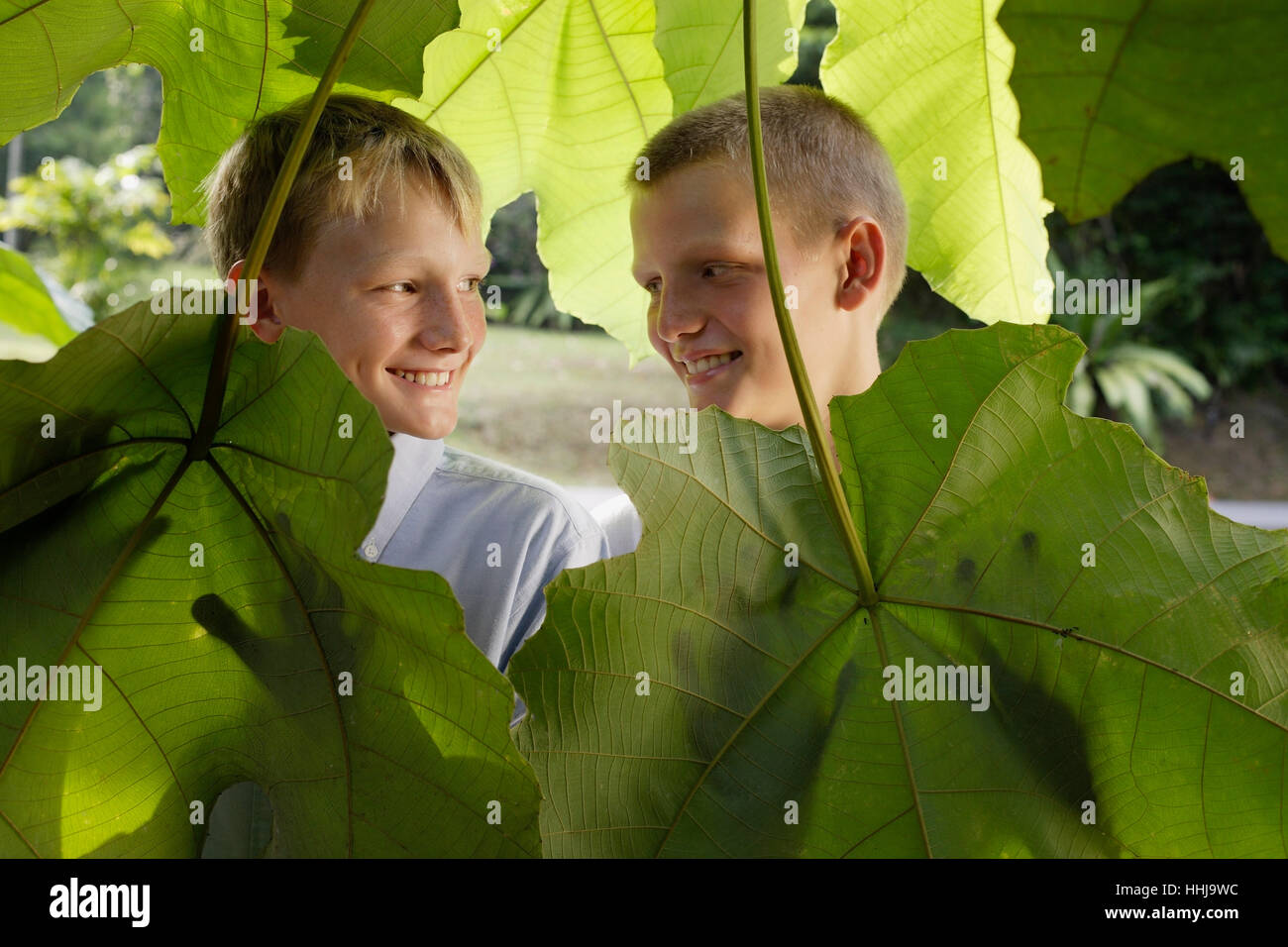 young boys behind giant leaves Stock Photo - Alamy