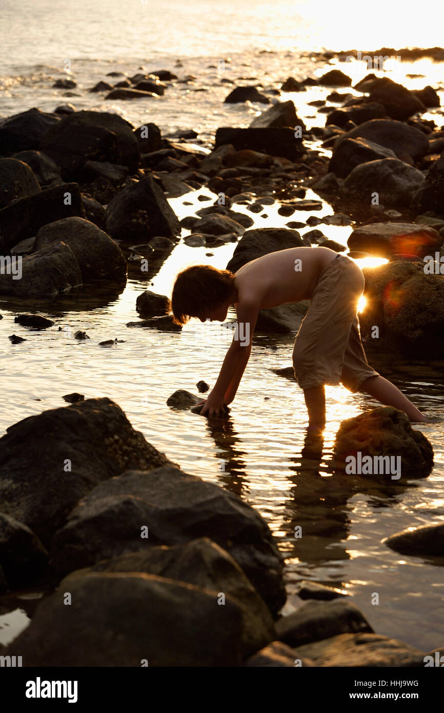 Boy searching in tide pools Stock Photo - Alamy