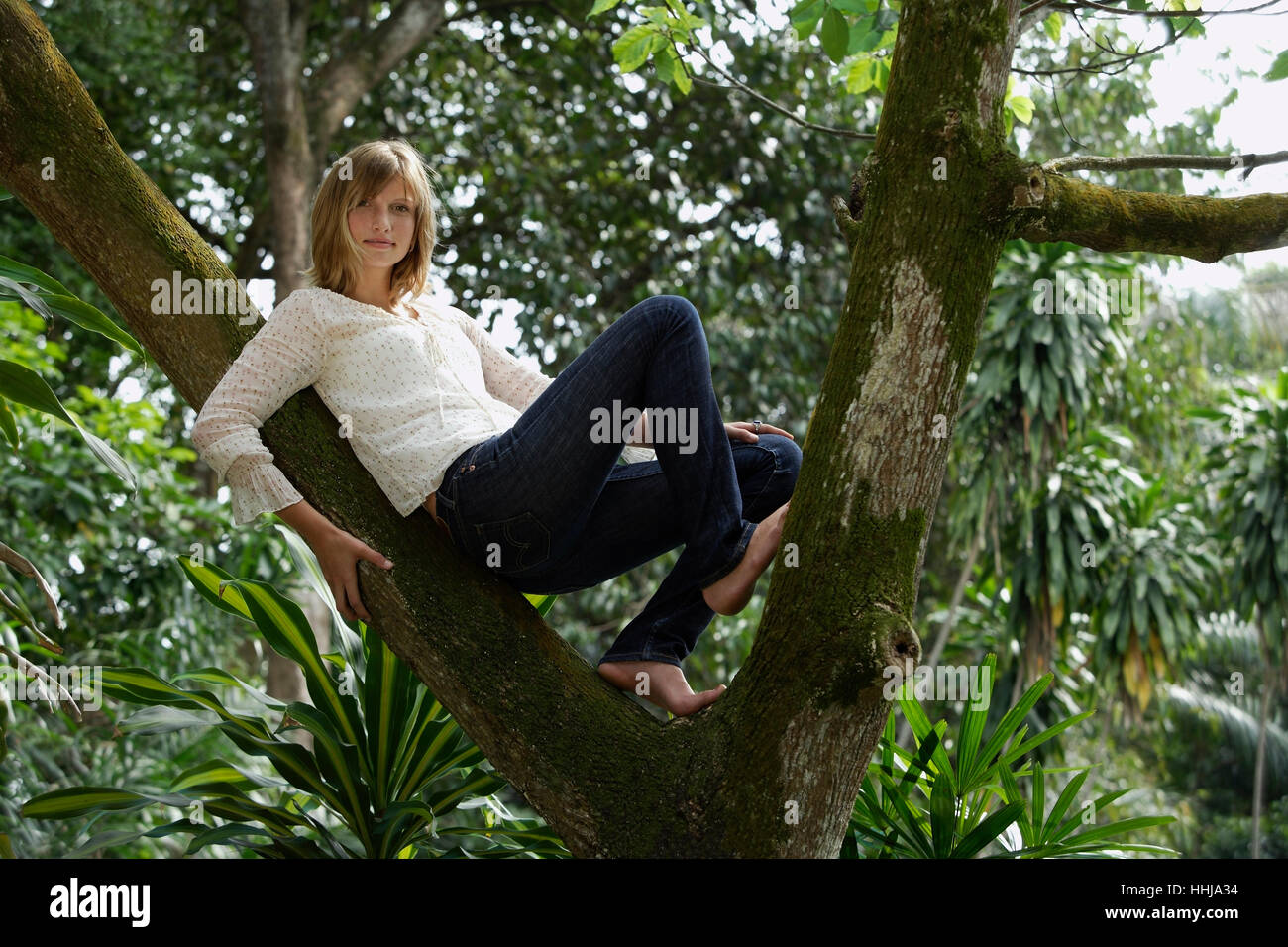 young girl in tree Stock Photo - Alamy