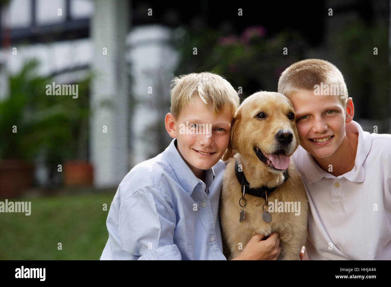two boys with dog Stock Photo - Alamy