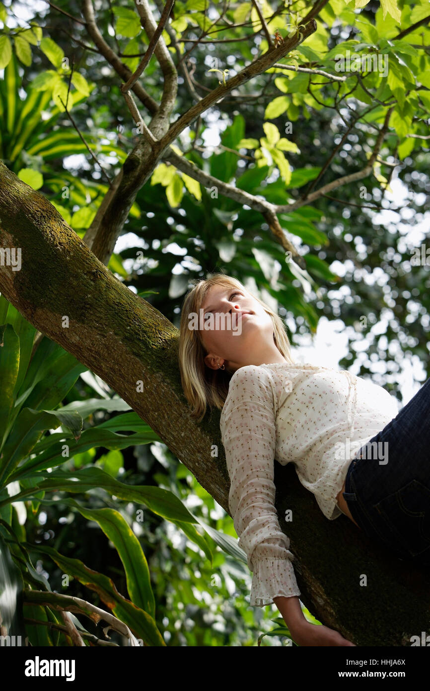 teen girl in tree Stock Photo - Alamy