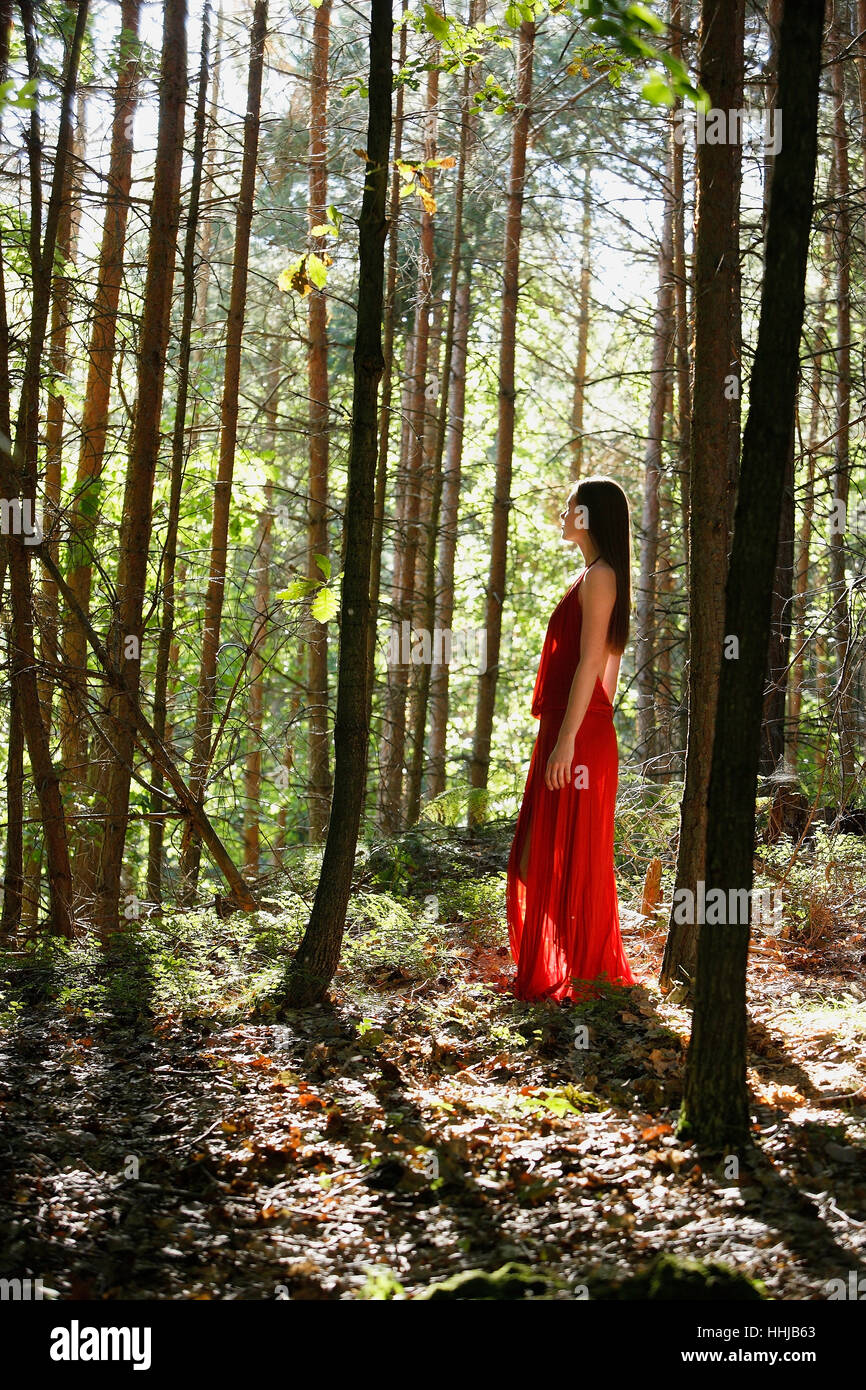 Woman in red dress standing in forest Stock Photo - Alamy