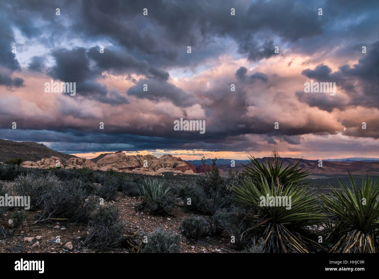 A storm lit by the setting sun passes over the desert landscape of Red ...