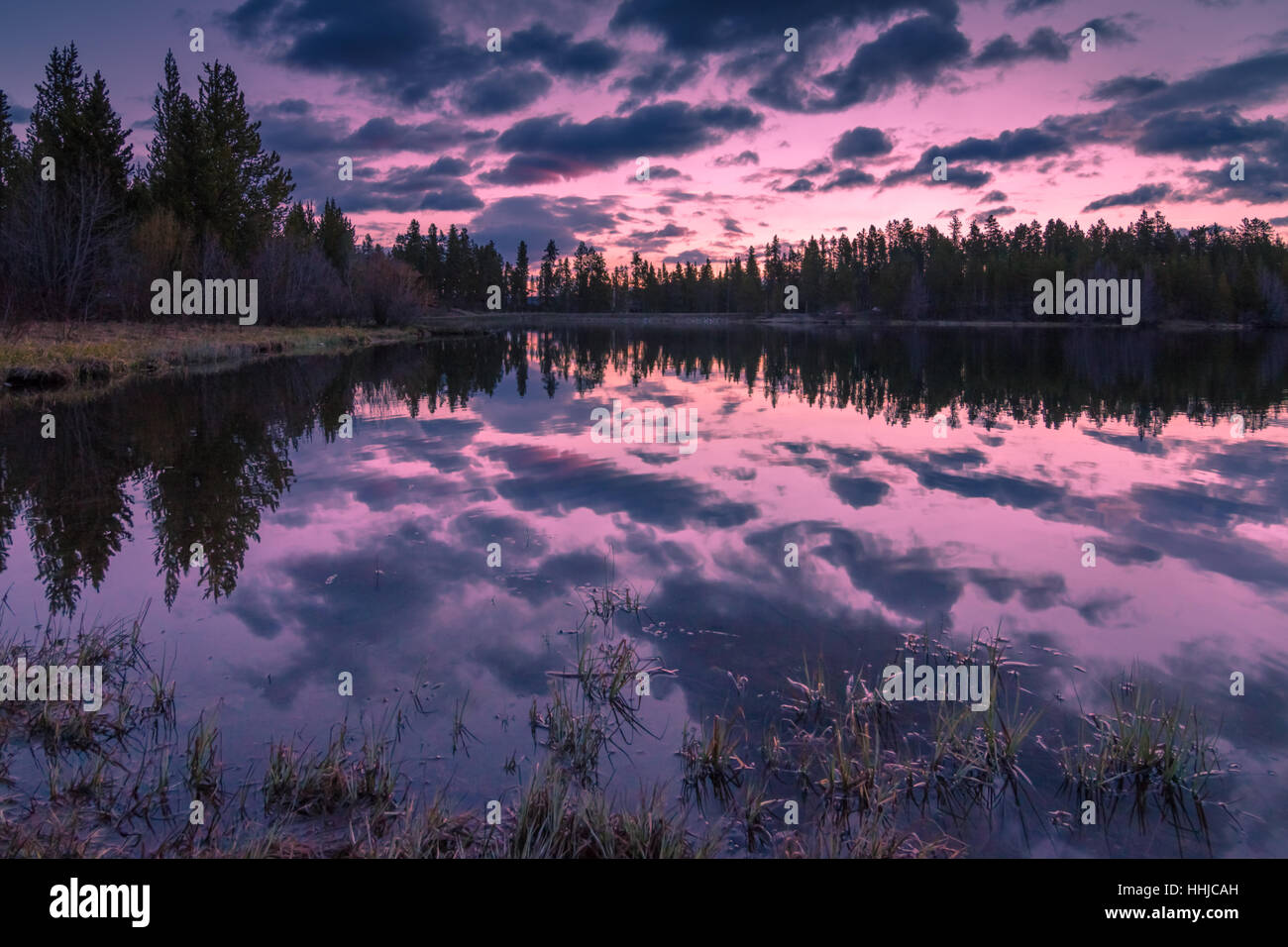 A still pond in Breckenridge, Colorado perfectly reflects a pink and ...