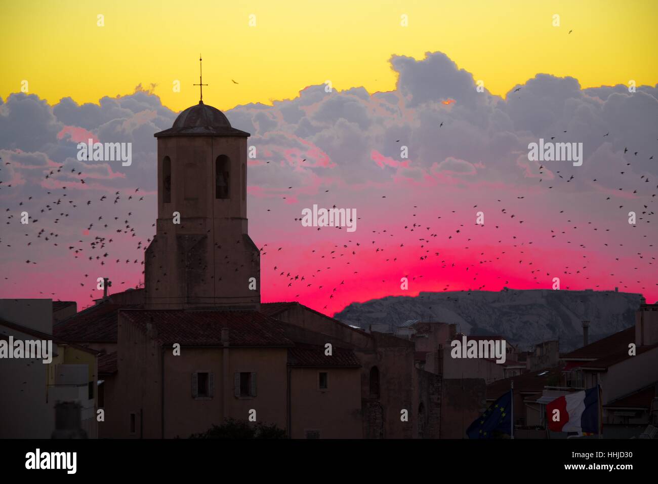 Bird flock migrating from Marseille Stock Photo - Alamy