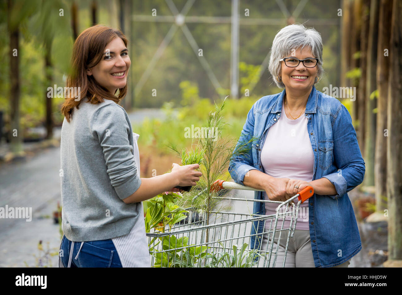 Florist helping a elderly female customer choosing plants Stock Photo ...