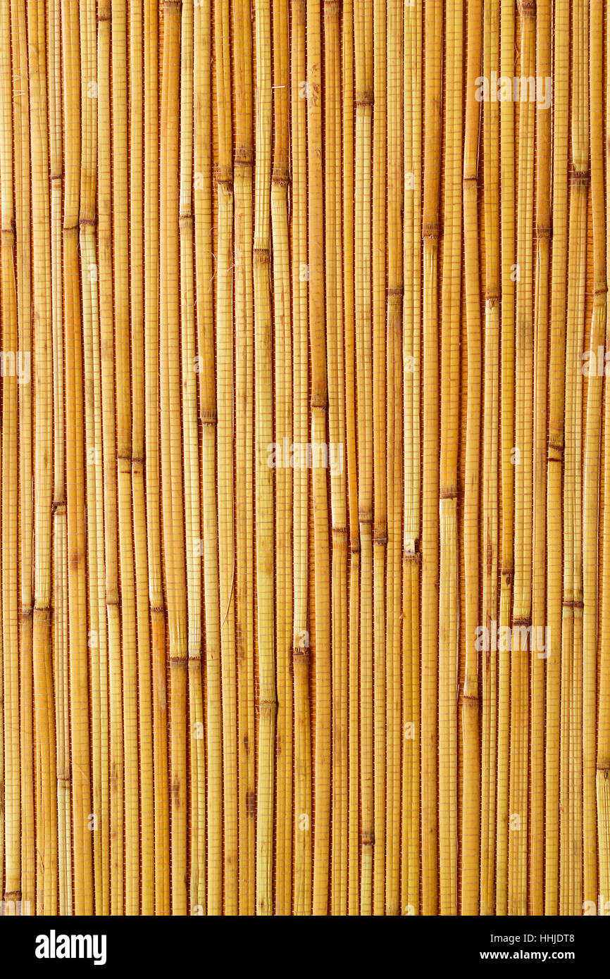 Dry reeds texture. Organic nature wallpaper of yellow cane. Natural ...