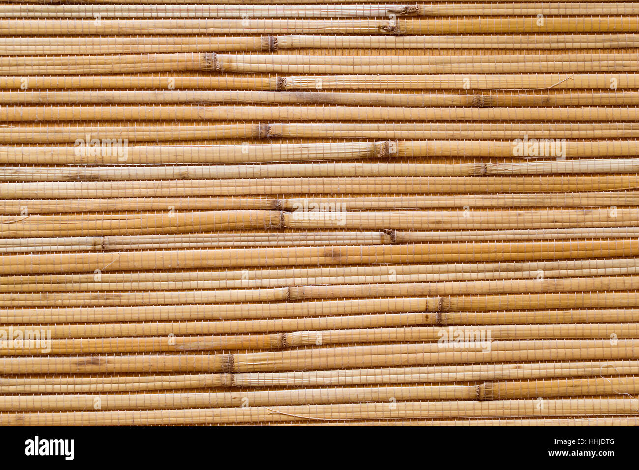 Dry reeds texture. Organic nature wallpaper of yellow cane. Natural ...