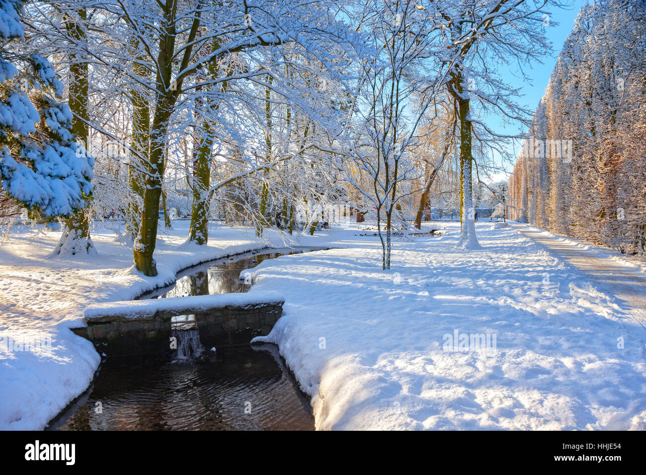 Snow covered city park in a winter day. Oliwa, Poland Stock Photo - Alamy