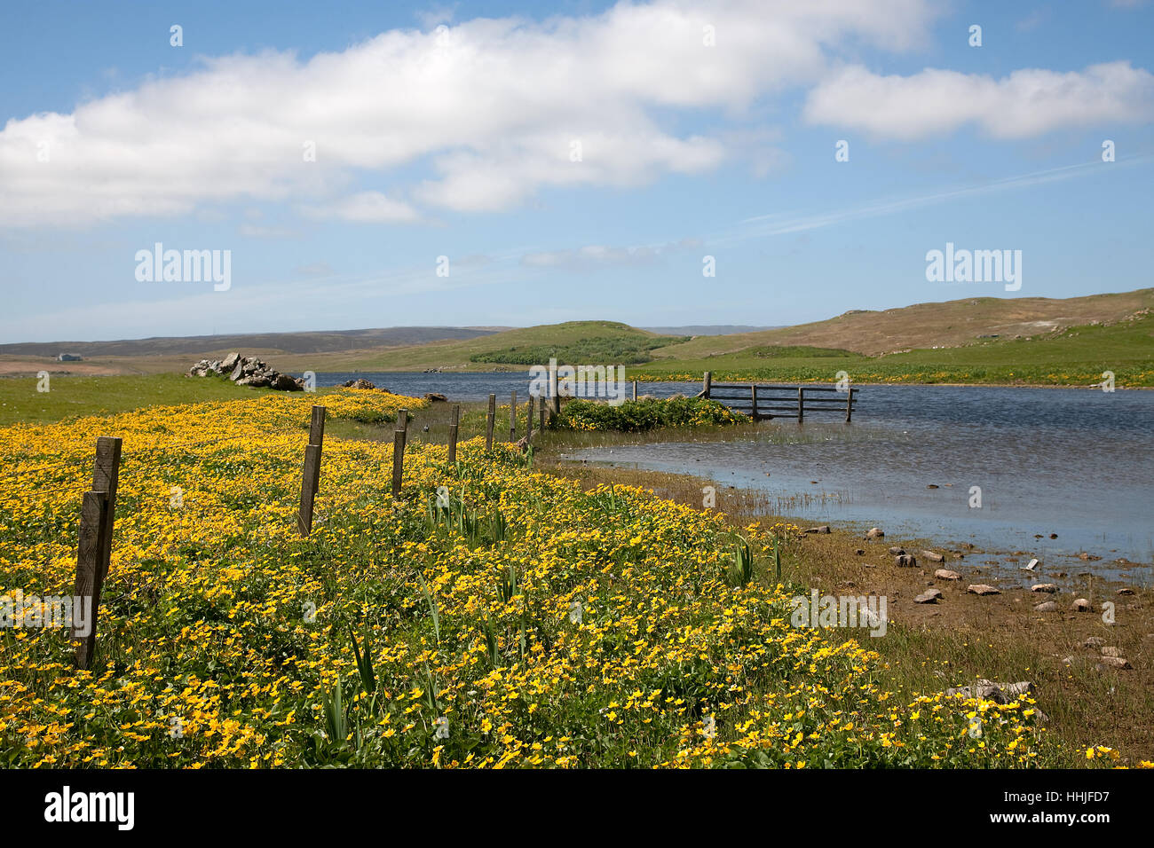 Shetlands people hi-res stock photography and images - Alamy