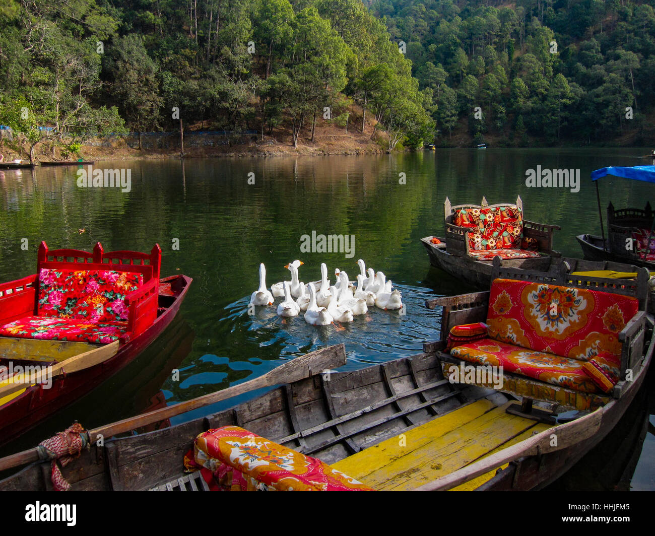 India lake boating hi-res stock photography and images - Alamy
