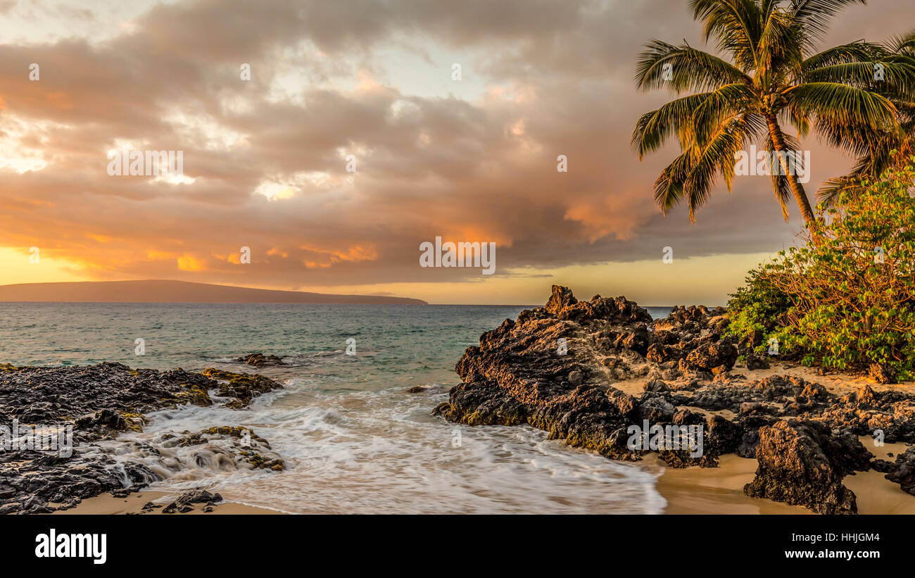 A warm tropical place Stock Photo - Alamy