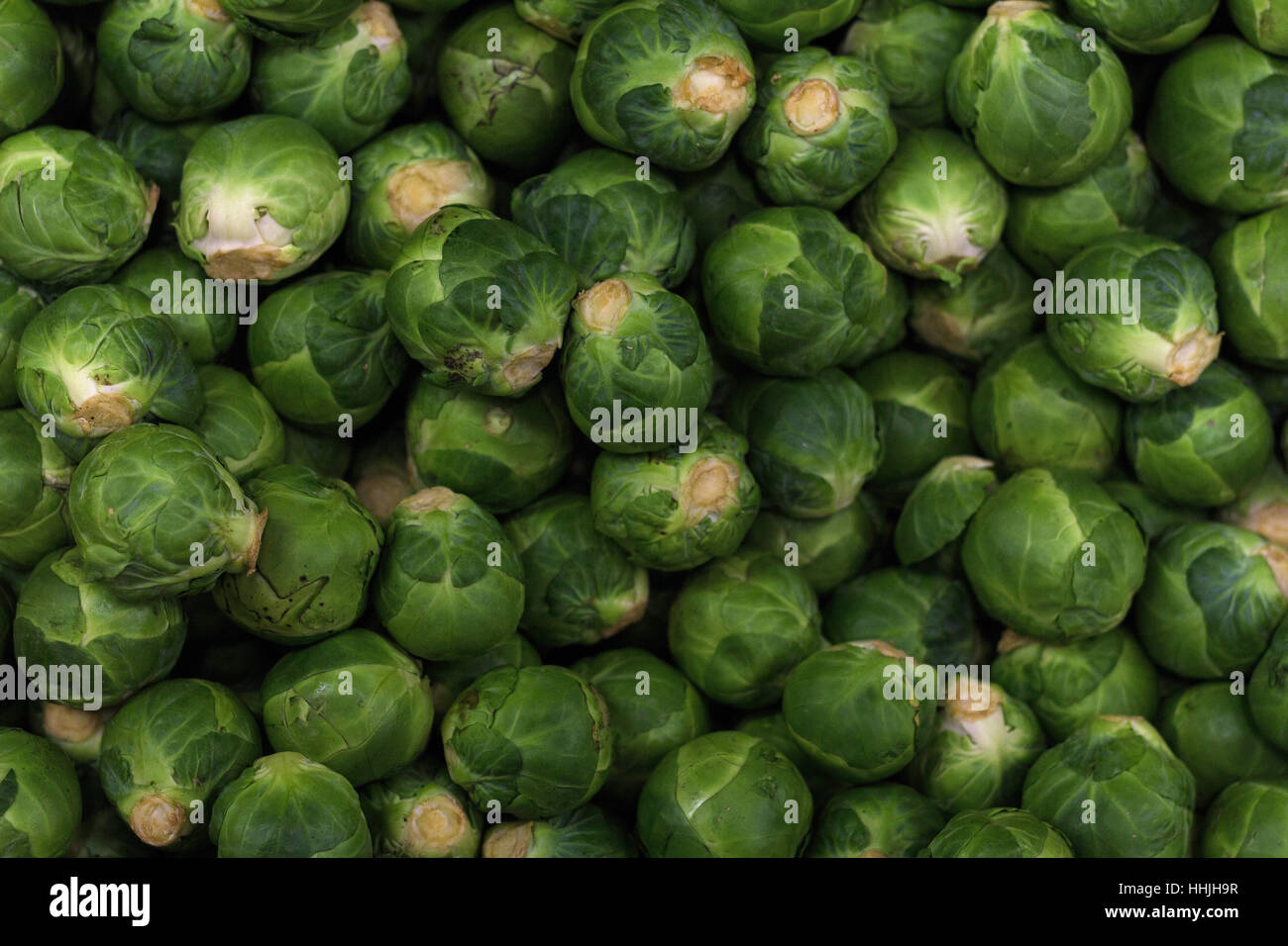 Pile of green sprouts Stock Photo - Alamy