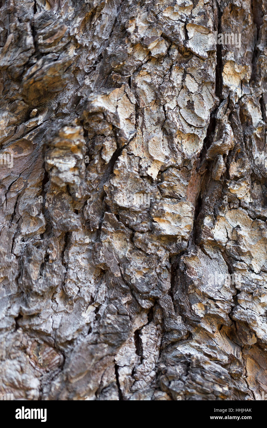 Zoomed in stone hi-res stock photography and images - Alamy