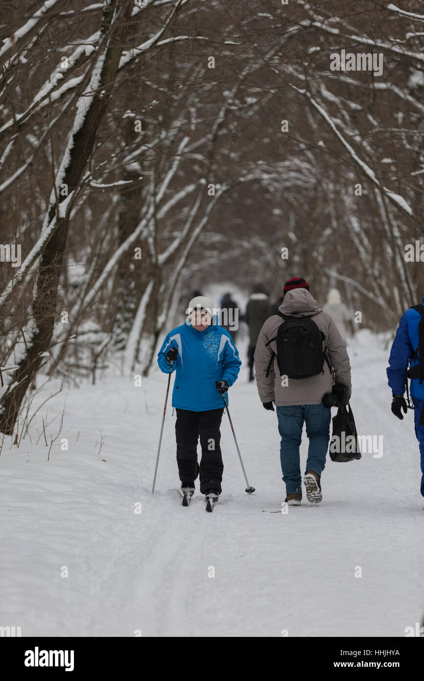 People relax on a ski trip in the forest Stock Photo - Alamy