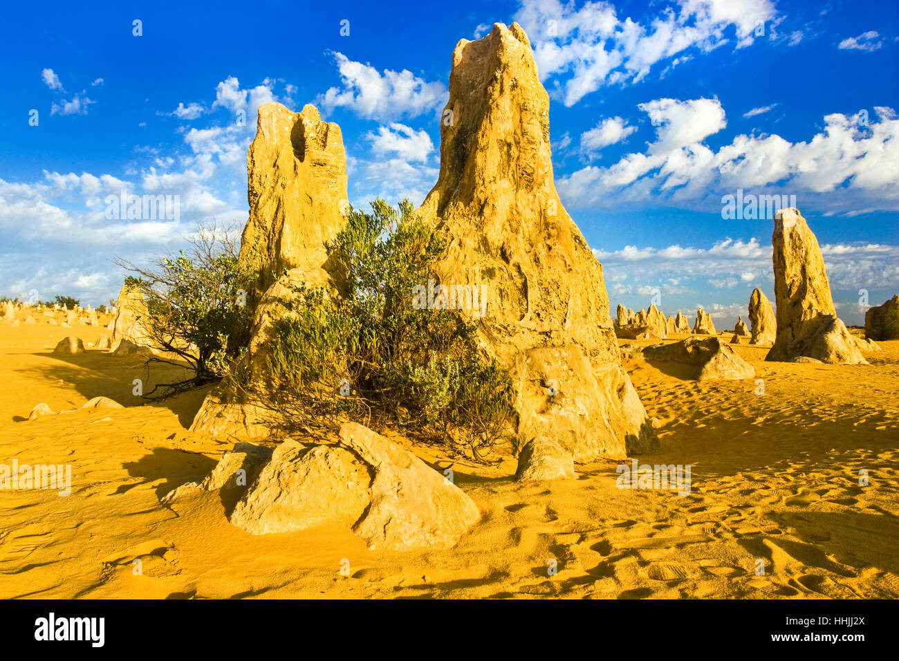 Limestone pillars in the Pinnacles Desert in the Nambung National Park ...