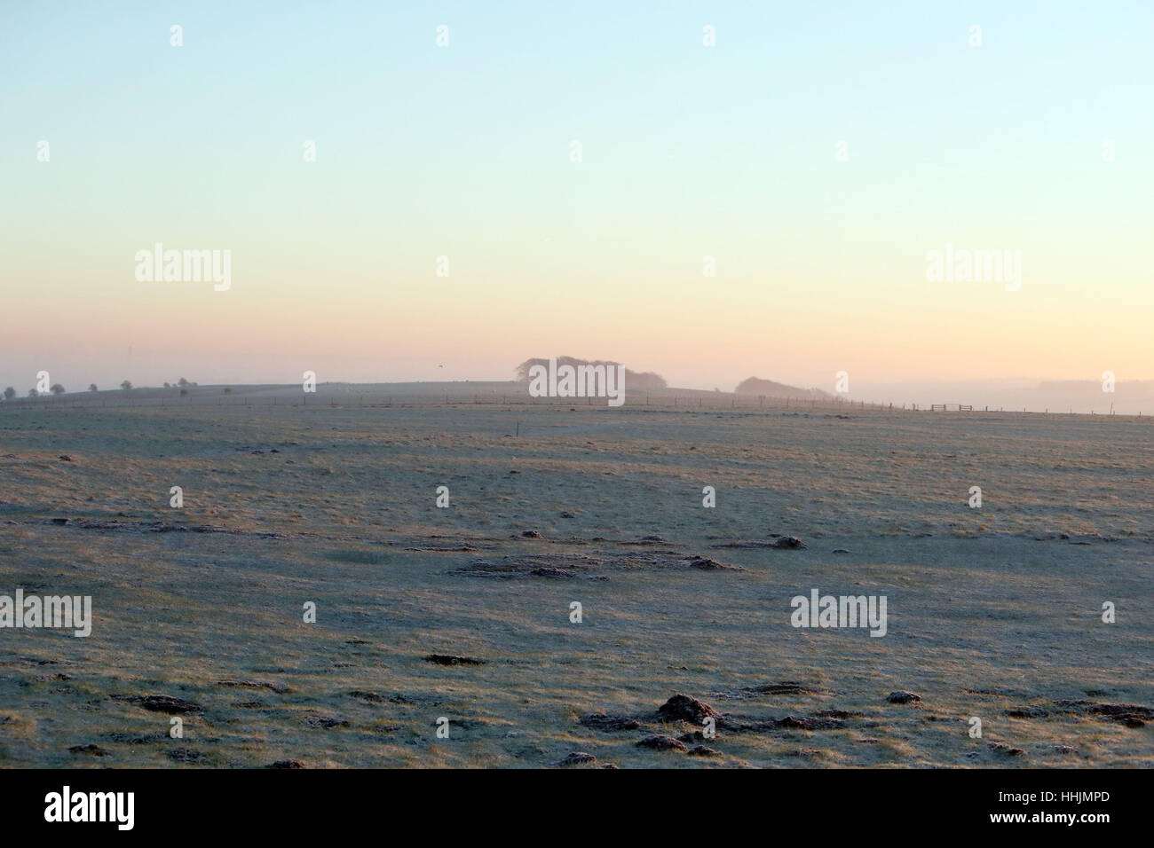 A slightly frosted field near Lambourn, west Berkshire as the cold ...