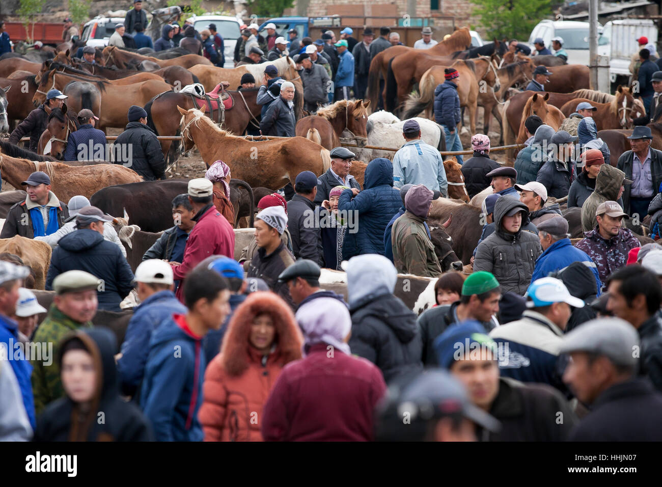 at the weekly sunday animal market in Karakol, Eastern Kyrgyzstan Stock ...