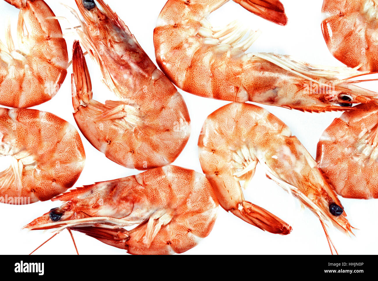 Penaeidae High Resolution Stock Photography and Images - Alamy