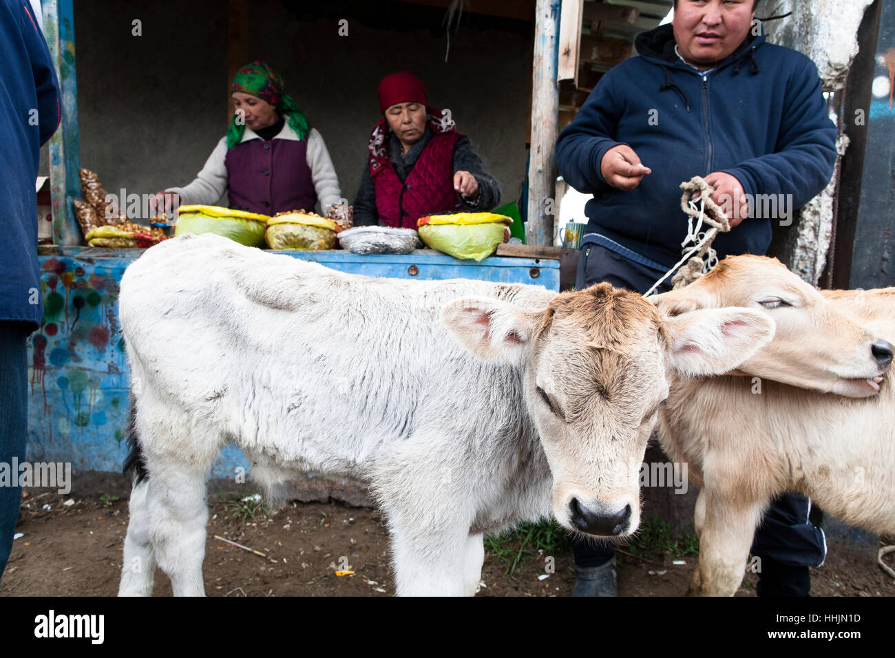Animal bazaar karakol hi-res stock photography and images - Alamy