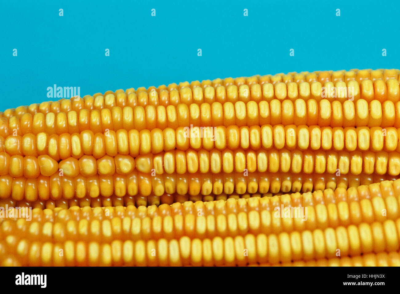 Corn Cereal Close up Stock Photo - Alamy