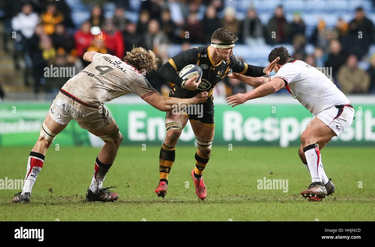 Wasps Guy Thompson High Resolution Stock Photography and Images - Alamy