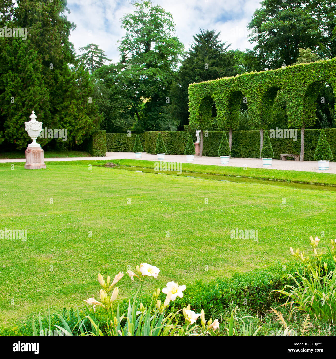 Alley lawn and hedge in a summer park Stock Photo - Alamy