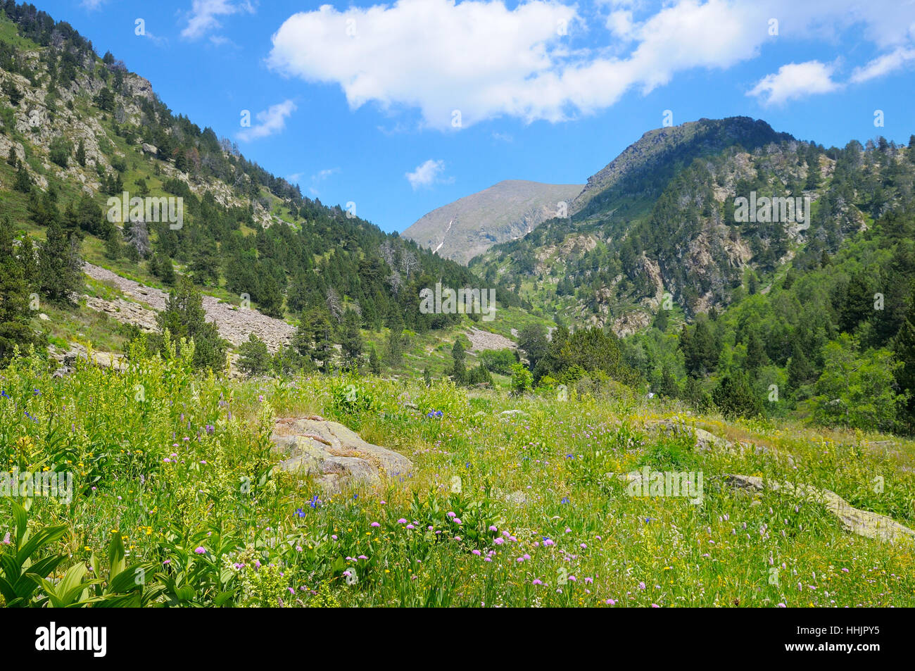 scenic mountains, meadows and blue sky Stock Photo - Alamy