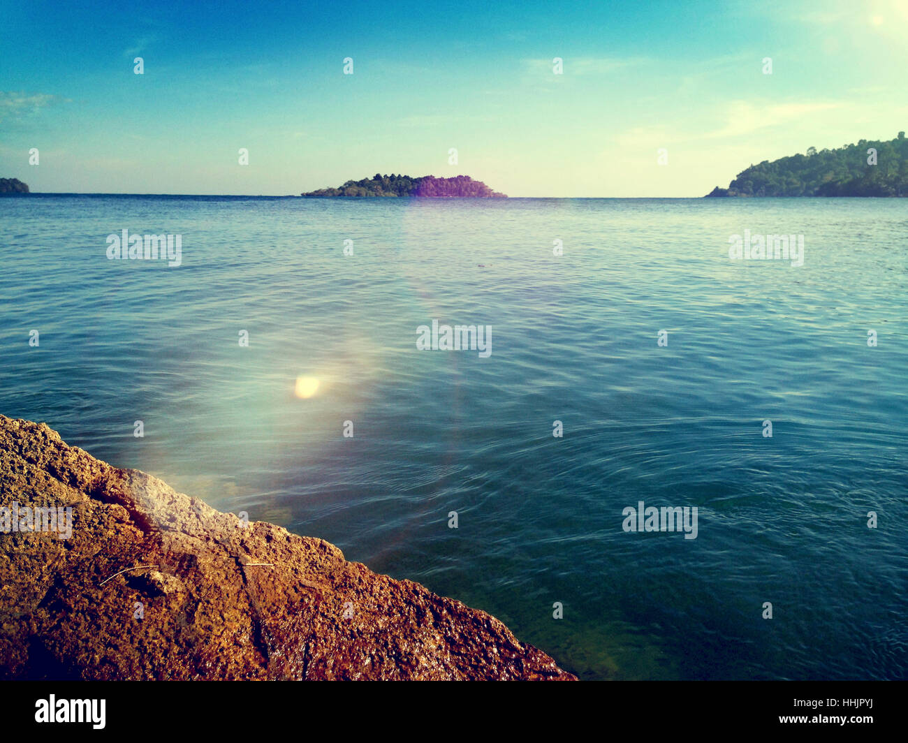 Ocean Sea Nature Forest View Concept Stock Photo - Alamy