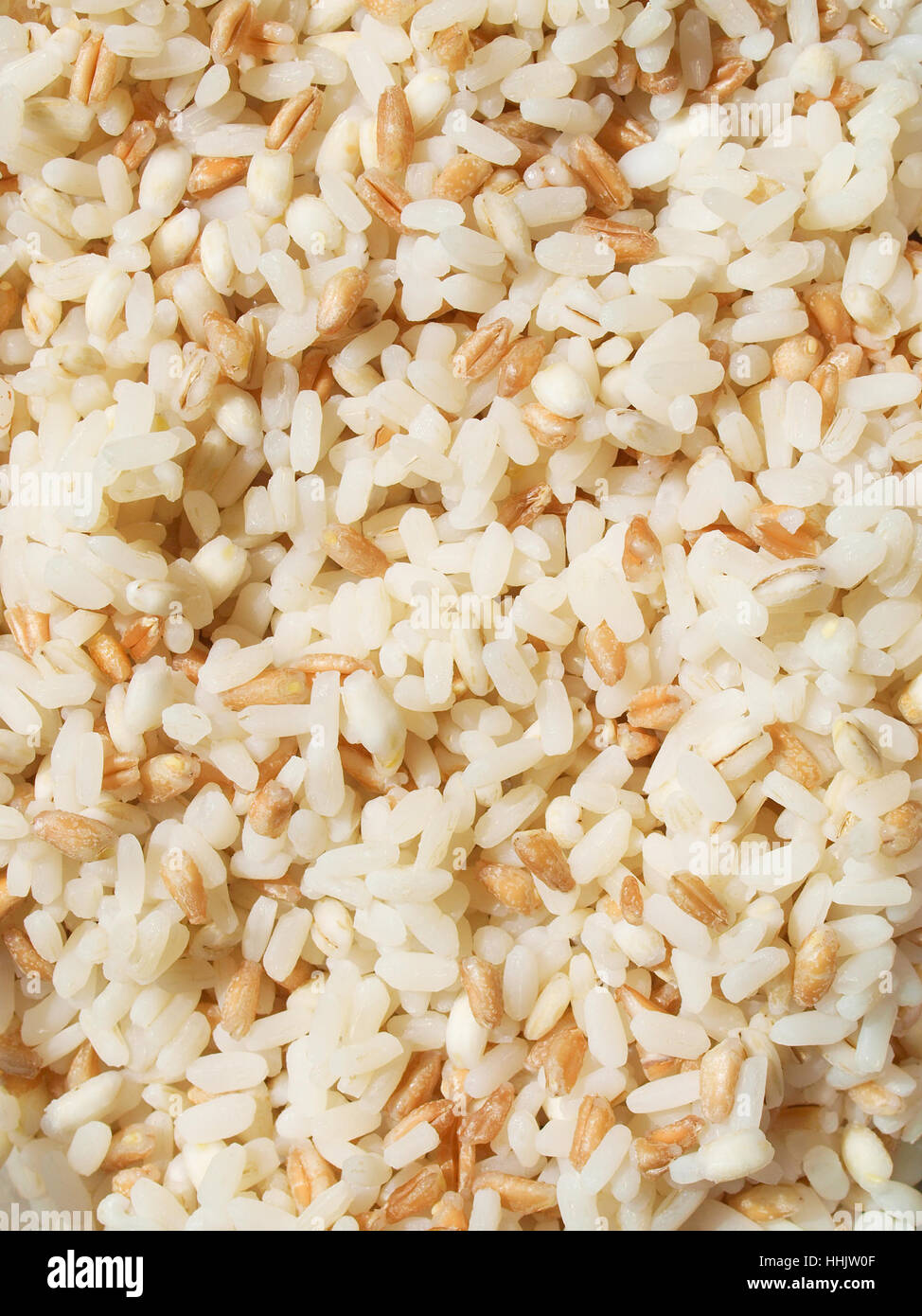 Mix of pearled cereals including rice spelt barley grain Stock Photo ...
