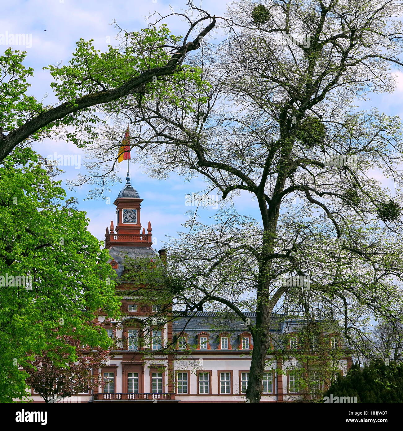 historical, city, town, tree, park, green, tourism, deciduous tree ...