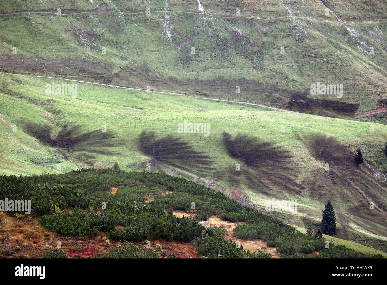 art, agriculture, farming, alps, farmer, fertilize, fertiliser, manure ...