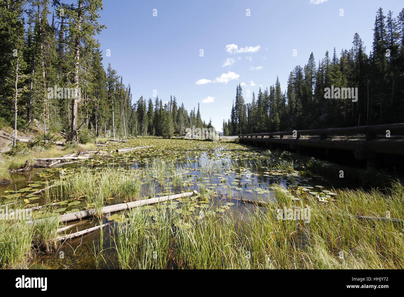 travel, tree, tourism, stream, float, hole, floating, grand, magnific ...