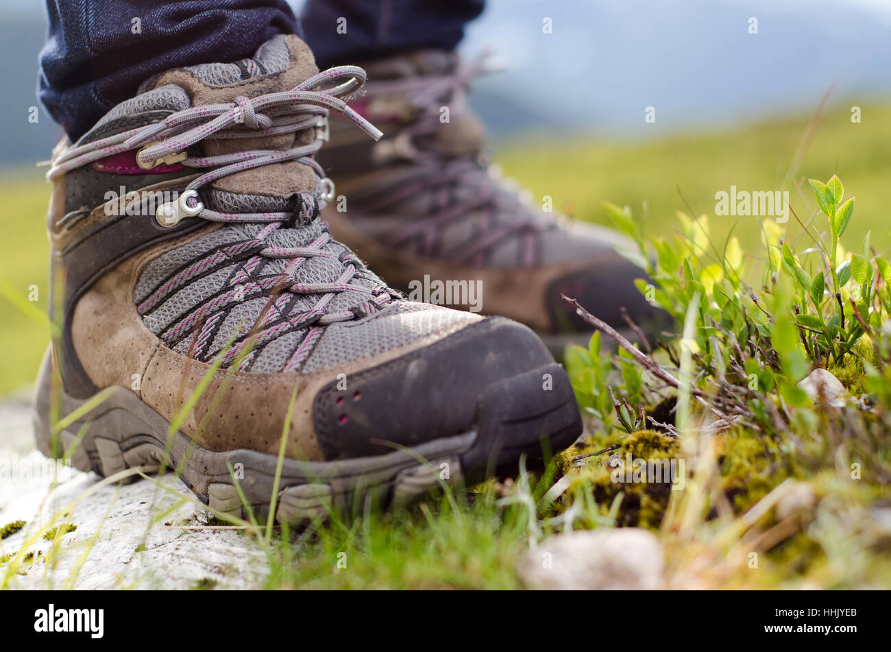 environment, enviroment, green, hike, go hiking, ramble, outdoor ...