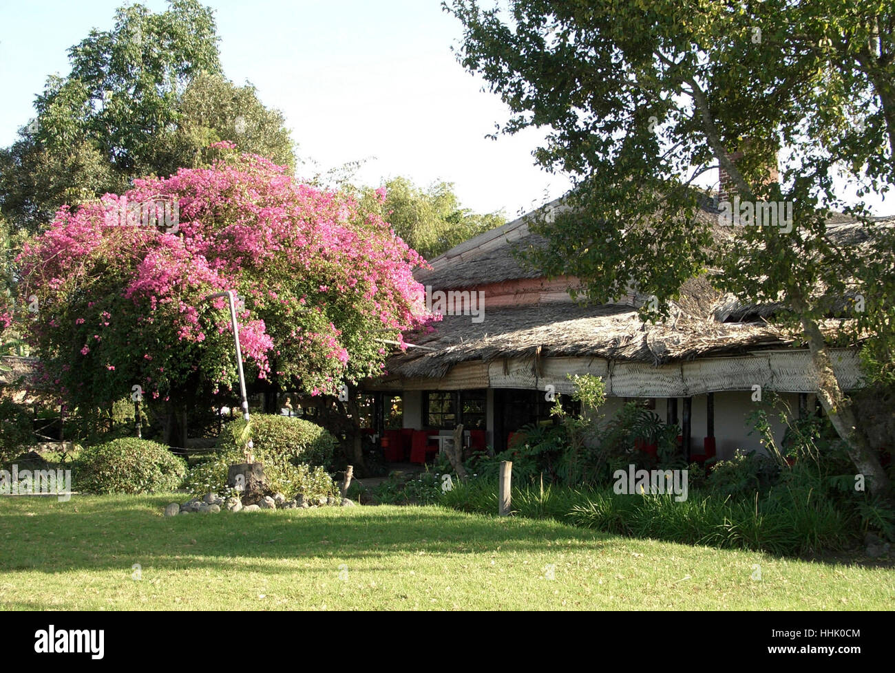 detail of Momela Wildlife Lodge in Tanzania (Africa Stock Photo - Alamy