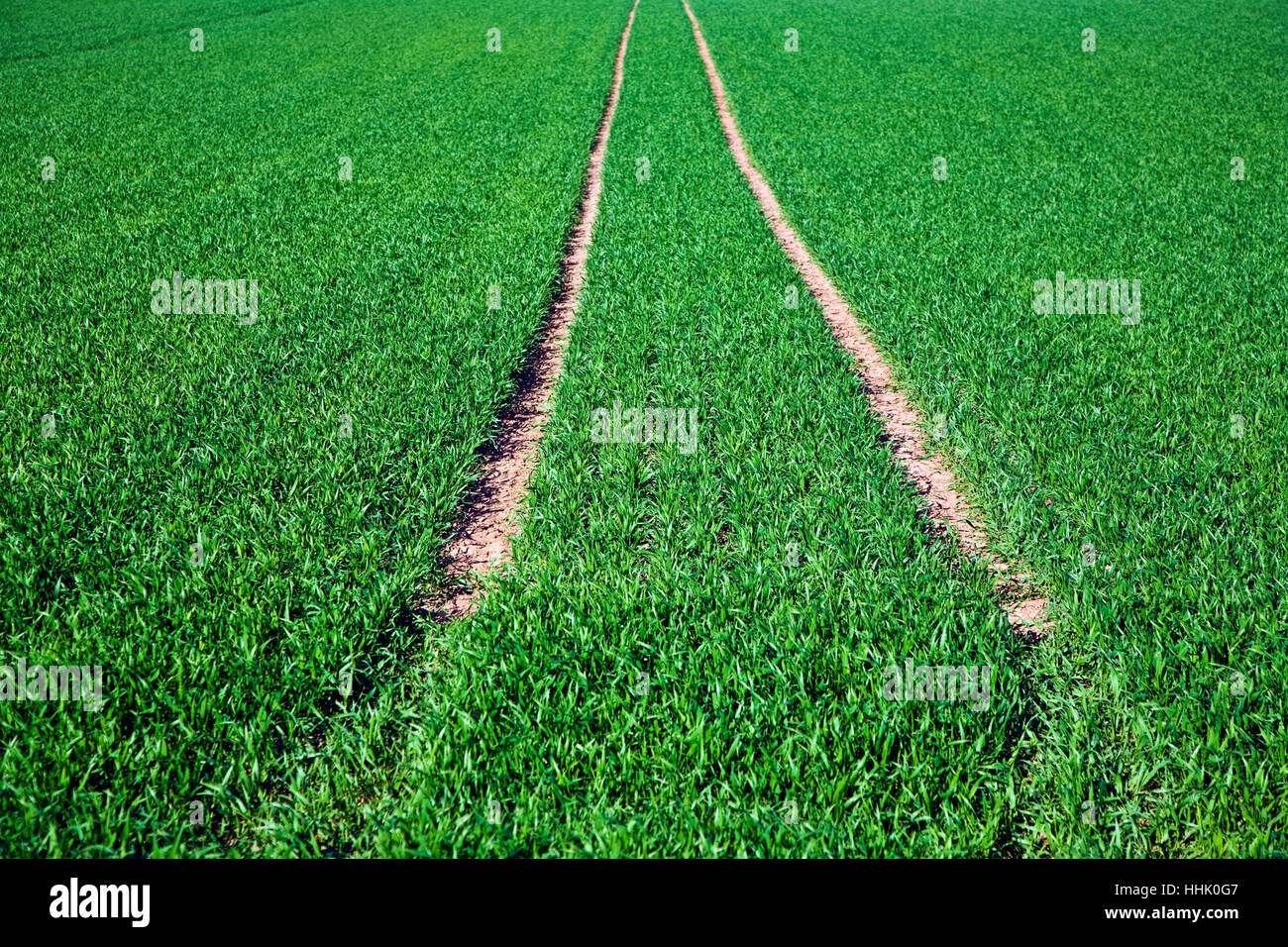 agriculture, farming, field, wheels, acre, tractor, trail, marks ...