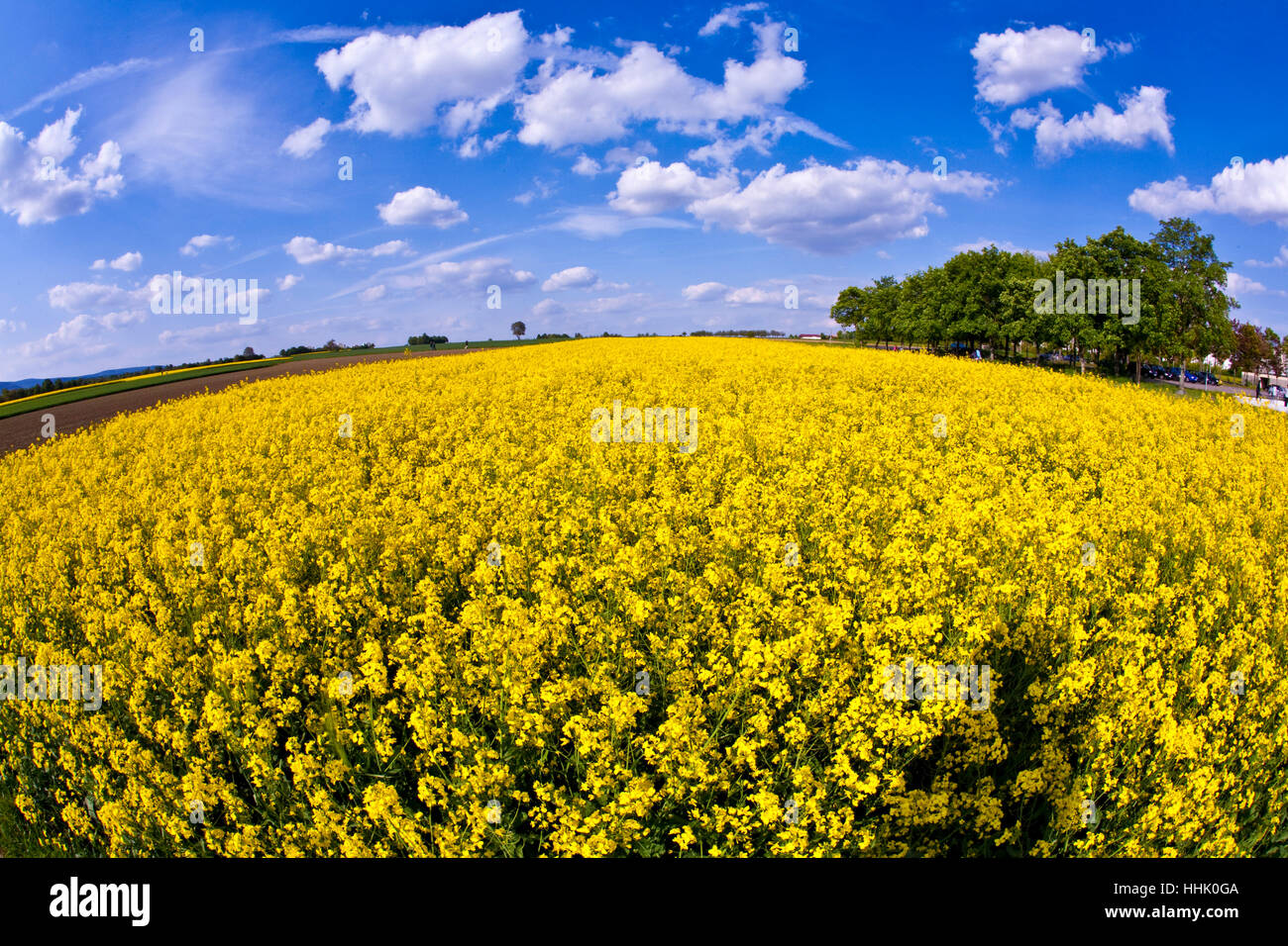 blue, agriculture, farming, field, land, landscape, scenery ...
