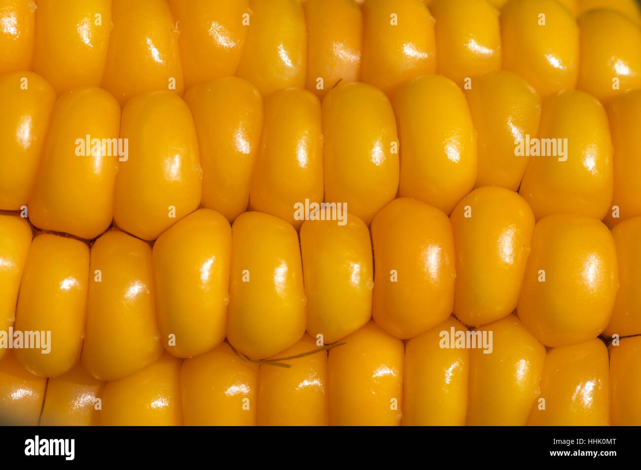 corn 2012 003 Stock Photo - Alamy
