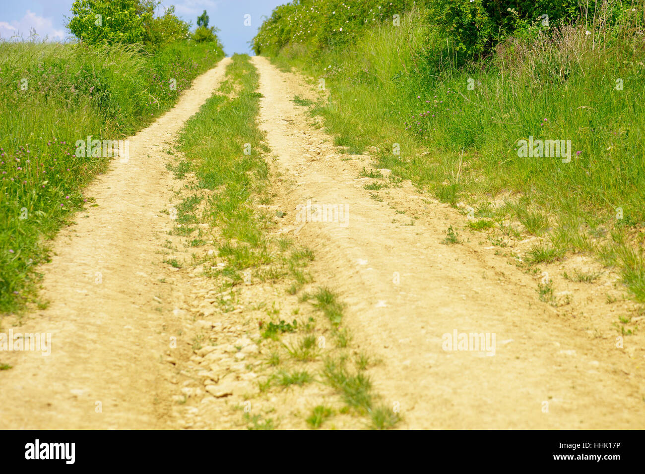 dirty, road, path, way, street, meadow, grass, lawn, green, nature ...