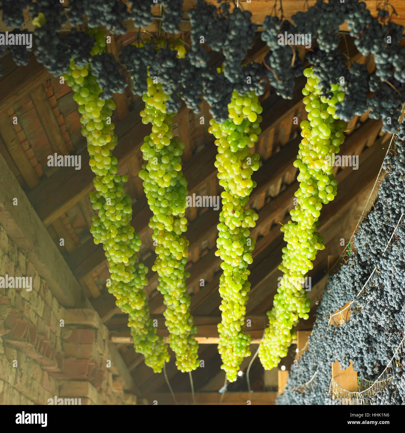winery, grape, inside, interior, wine, grapes, production, dry, dried ...