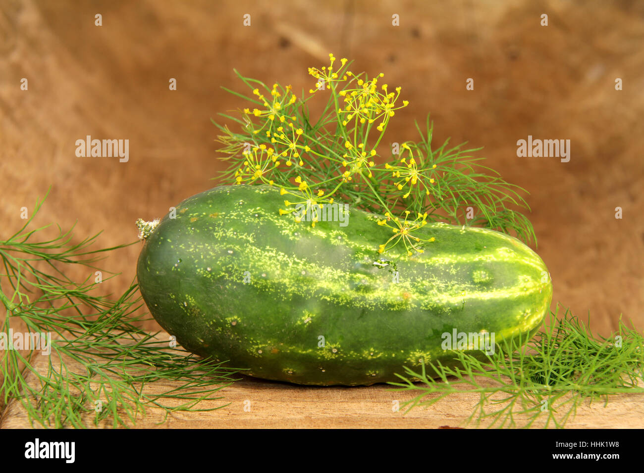 cucumber, thickness, gherkin, still life, studio, cucumber, thickness ...