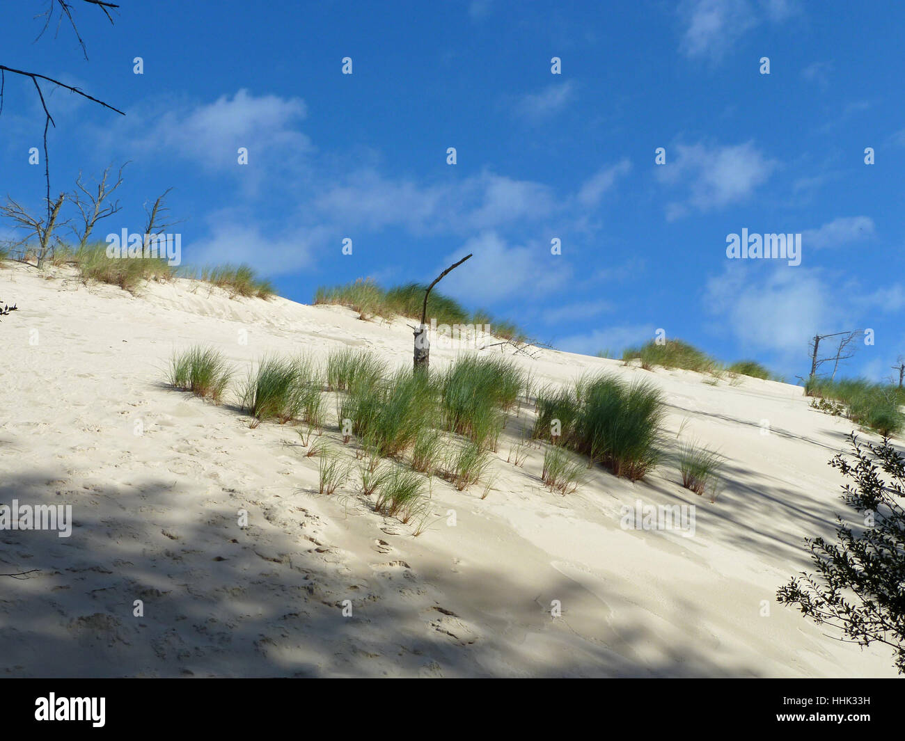 shifting sand dunes of leba Stock Photo - Alamy
