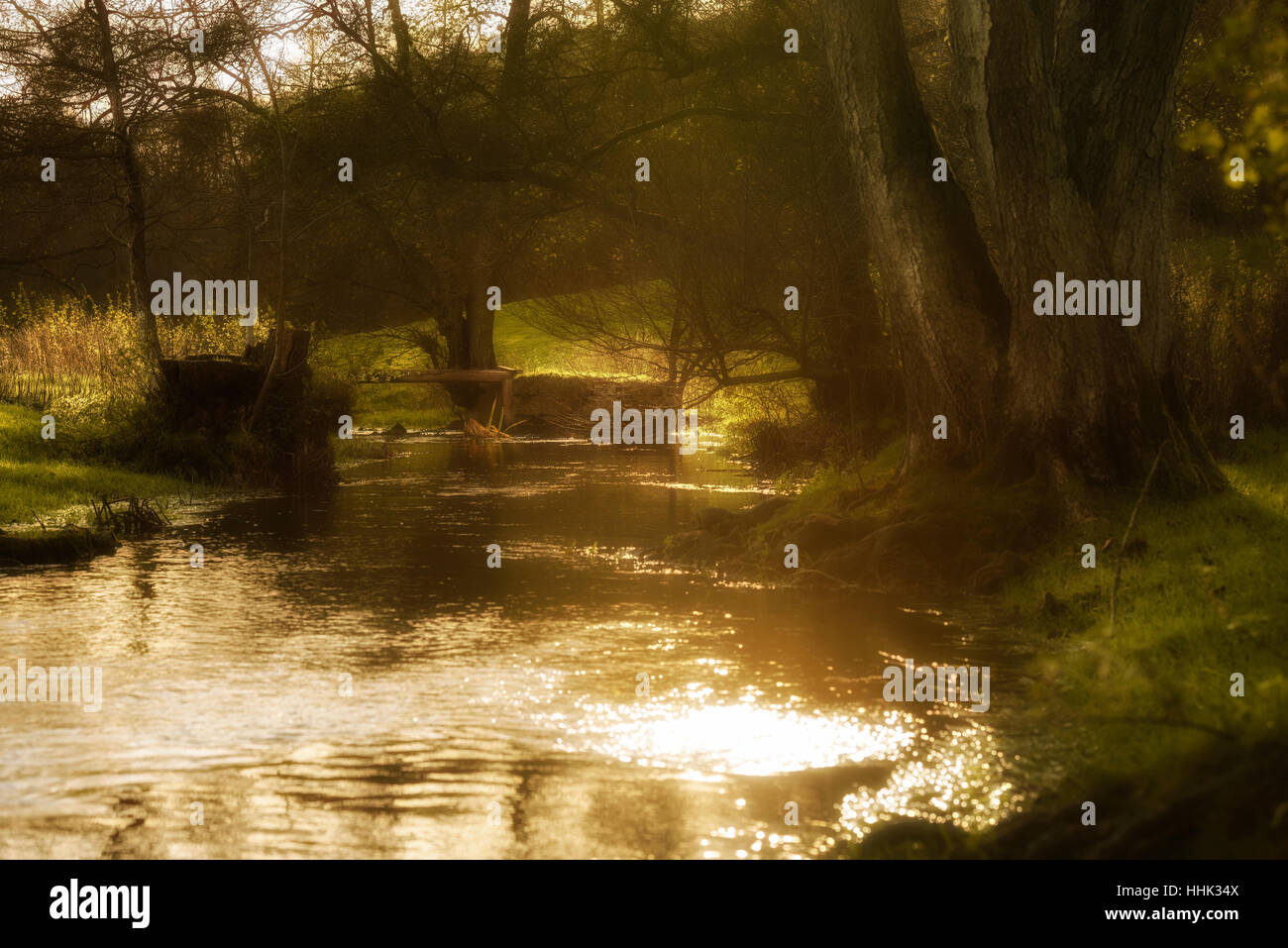 Reflection of sun off water hi-res stock photography and images - Alamy