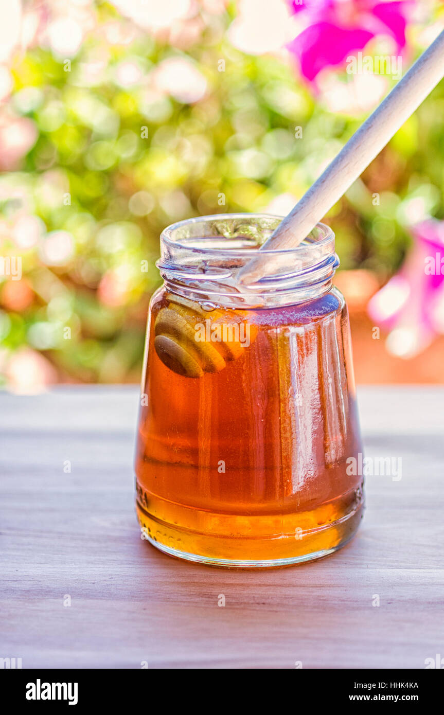 food, aliment, liquid, golden, ingredient, gold, fluid, honey, healthy ...