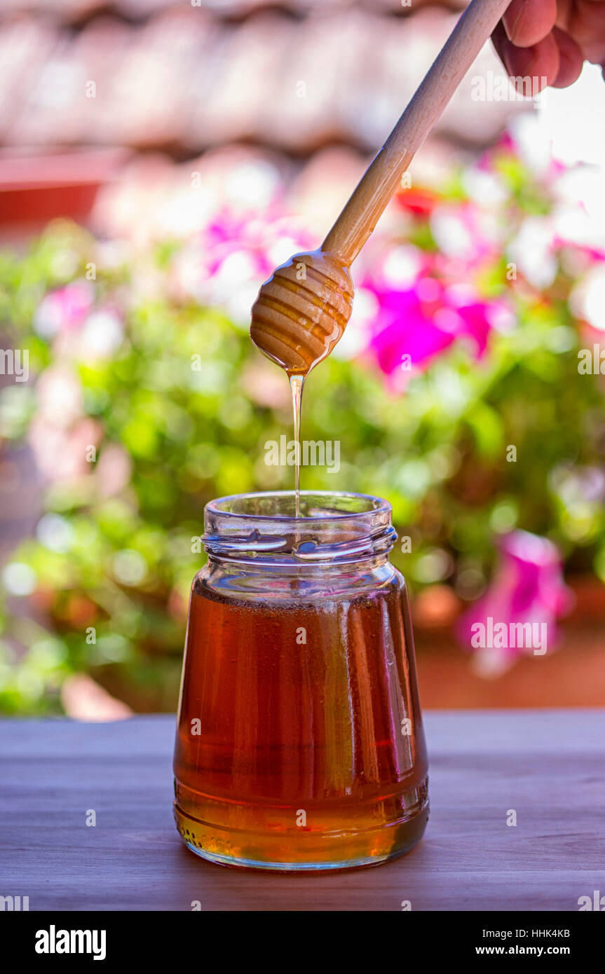 food, aliment, liquid, golden, ingredient, gold, fluid, honey, healthy ...